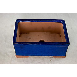 Rectangular Shohin Bonsai/Cactus & Succulent Pot + Mesh 6.25"x 4.75"x 2.5" Dark Blue