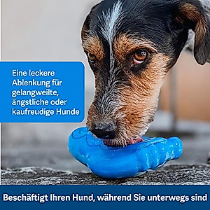 PetSafe Freezable Treat Food Dispensing Chew Toy, Medium/Large, Chilly Penguin