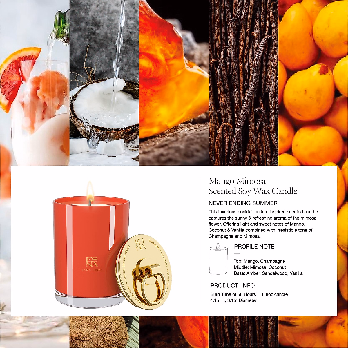 ESNA HOME Luxury Highly Scented Soy Candle | Natural Lavender Essential Oils Aromatherapy Candles for Relaxation | Unique Gifts for Women | Living Room Decor | 8.8oz 50 Hours Long Lasting Clean Burn