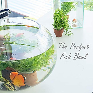 CYS EXCEL Large Glass Bubble Bowl (H-13.5" W-15.25", Approx. 9 Gal.) | Multiple Size Choices Fish Bowl Vase | Glass Round Bowl Terrarium | Globe Flower Vase Centerpiece