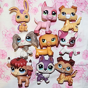 Junior Pet Shop lps Rando Pack, Pets Random 2pcs and Accessories 5pcs, Baby Husky Cat Cocker Spaniel Panda Lot Kids Gift