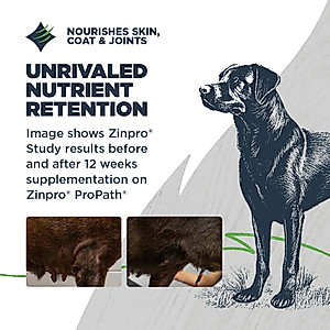 Blackwood Lean/Senior Dry Dog Food, Chicken Meal with Ancient Grains, 4.5 Pound Bag for Weight Management and Muscle Mass Maintenance