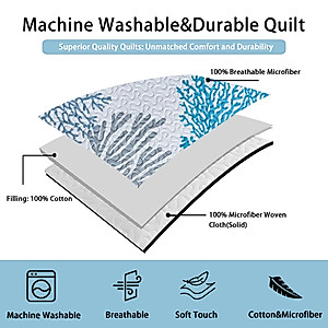 Tritard 3 Piece Coastal Quilt Sets Full/Queen Size - Reversible Microfiber Quilts with 2 Shams Soft Lightweight Beach Bedding Nautical Bedspread Coverlet Summer Comforter for All Season, 90''x96'', C1