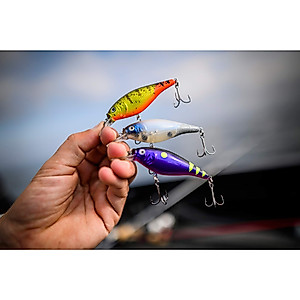 Berkley Flicker Shad Shallow Fishing Lure, Firetail Hot Perch, 2/7 oz, 2 3/4in | 7cm Crankbaits, Size, Profile and Dive Depth Imitates Real Shad, Equipped with Fusion19 Hook