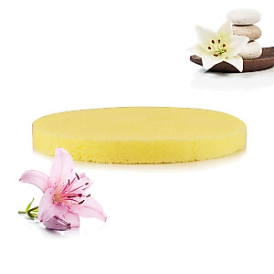 Facial Sponges - 240 Count - APPEARUS PVA Compressed Face Sponge for Face Wash Cleansing, Exfoliating, Mask, Makeup Removal