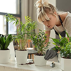 Pllieay Min Bamboo Trellis Garden Trellis Plant Trellis for Climbing Plants Potted Indoor Plants, Includes 12 Pack 16 Inch Natural Bamboo Stakes, 50PCS Ties and 24PCS Bamboo Sticks