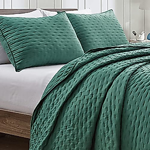 Mocaletto Luxury Twin Size Quilts, 2 Piece Green Quilt Set, Reversible Twin Quilt Bedding Set with Pillow Shams, Ultra Soft Lightweight Microfiber Bedspread, All Season Summer Twin Size Coverlet