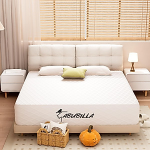 10 Inch Queen Mattress,Queen Size Mattress,Guest Room Mattress, Memory Foam Mattress,Comfort Level of This Mattress is Extraordinary,Improved Sciaticaa,CertiPUR-US Certified【New Version】