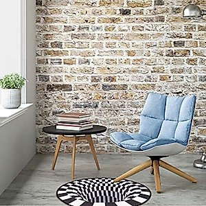 BESPORTBLE Floor Rug Circle Rugs Carpet 2ft Small Oval Floor Mat Sunken Visual Effect Black- White Carpet Pet Lying Mat Porch Insole Home Decor 60x39CM