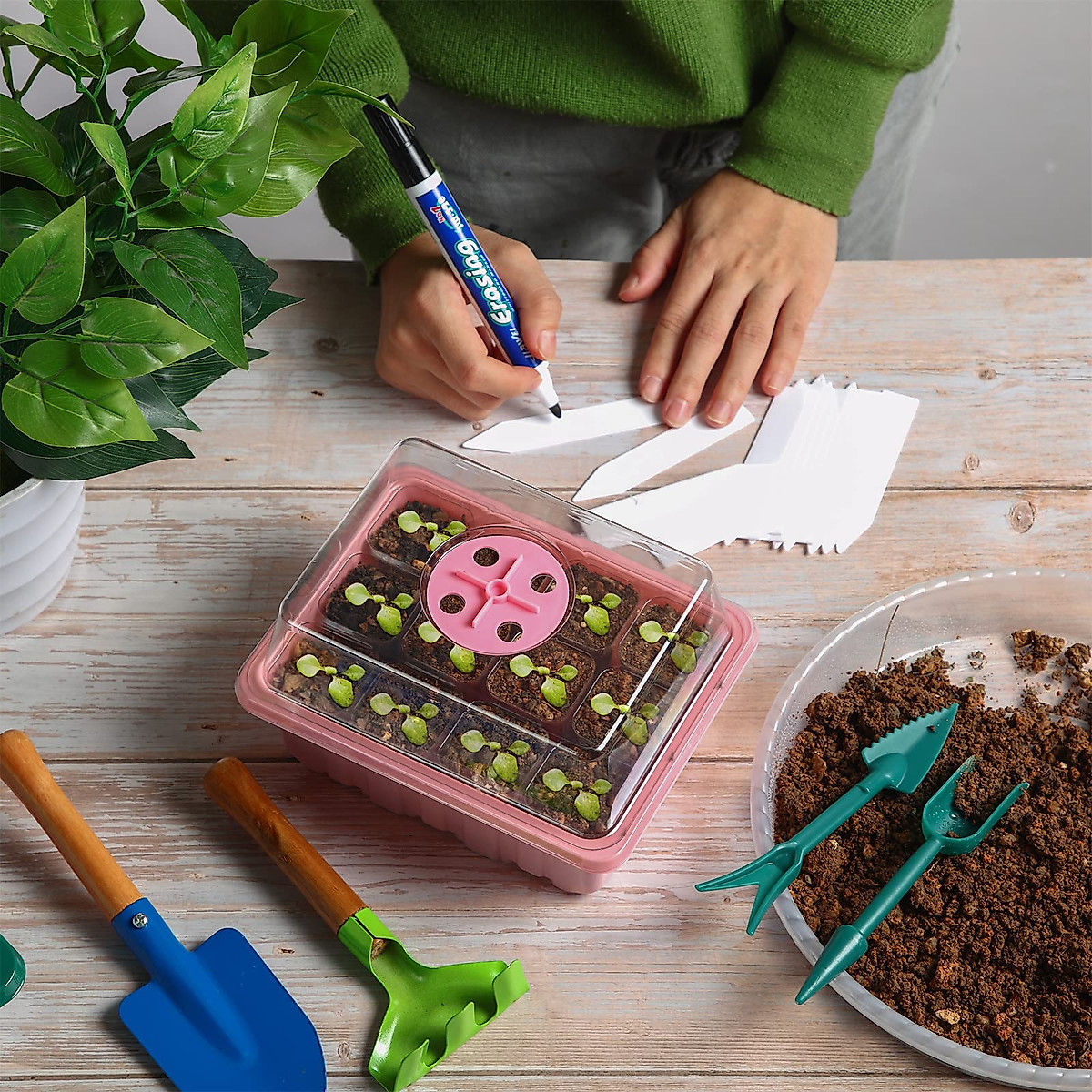 20 Set Seed Starter Tray Seed Starter Kit with Humidity Dome 240 Cells Total Plant Germination Trays with Drain Hole Reusable Propagation Tray Base Mini Greenhouse for Seedling Starting Growing