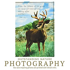 Divinity Boutique Assorted Birthday Cards for Him - 4 Design Birthday Card Assortment with Scripture for Men, Dad, Son and Husband - Set of 12