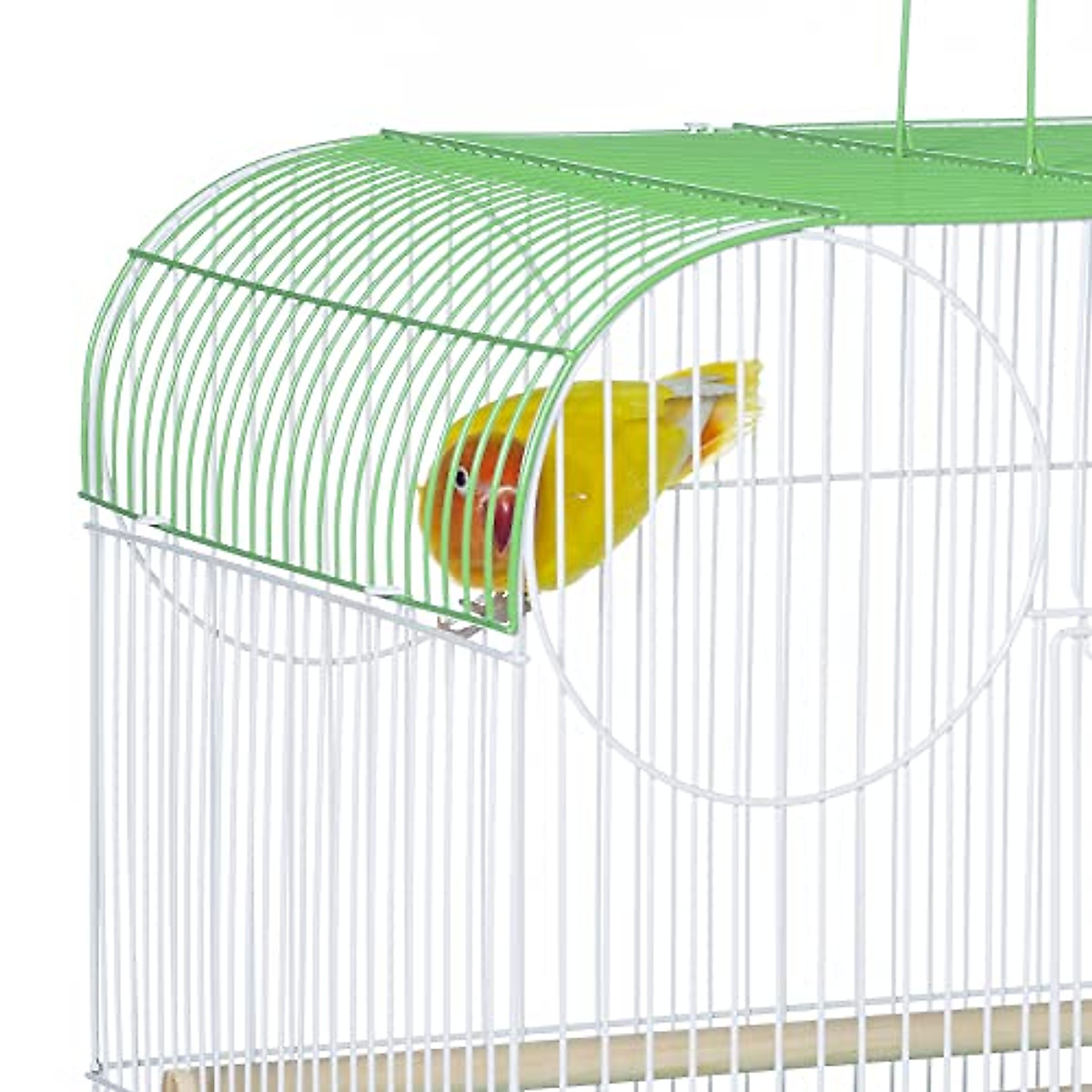 Prevue Pet Products South Beach Flat Top Bird Cage, Lime Green (SP50091),14 1/8" L x 11 1/4" W x 18 1/8" H