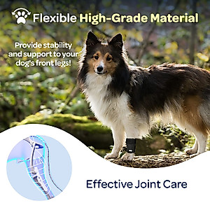 Labra Dog Canine Front Leg Compression Brace Wrap Sleeve, Protects Wounds, Braces, Heals, and Prevents Injuries and Sprains, Helps with Loss of Stability Caused by Arthritis - Large/Extra Large