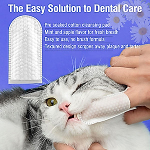 Havenfly Pet Teeth Cleaning Finger Wipes for Dogs & Cats, Dog Dental Wipes for Removing Plaque and Tartar Buildup, No-Rinse Disposable Gentle Cleaning & Gum Care Pet Wipes, 50 Counts