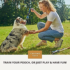 Chasing Tails Flirt Pole for Dogs Heavy Duty - 26 Inch with 30 Inch Rope and Two Toys for All Breeds - Spring Pole for Dogs, Dog Flirt Pole for Large Dogs, Dog Catcher Pole