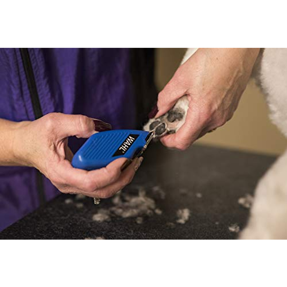 Wahl Professional Animal Pocket Pro Equine Compact Horse Trimmer and Grooming Kit, Blue (#9861-900)