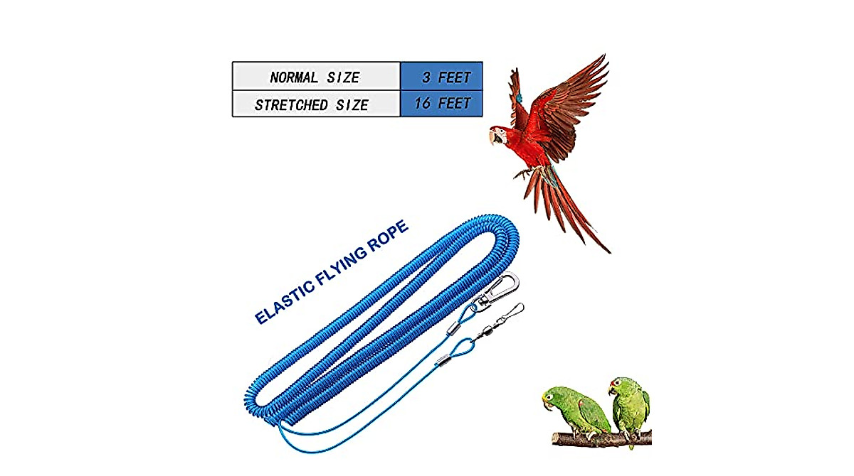 Parrot Bird Harness Leash - Safe Outdoor Flying Training Rope