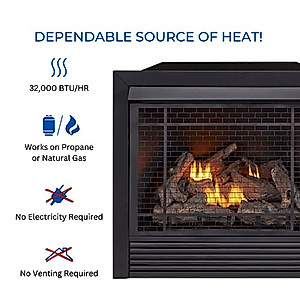 Duluth Forge Dual Fuel Ventless Gas Fireplace Insert, Remote Control, 9 Fire Logs, Use with Natural Gas or Liquid Propane, 32000 BTU, Heats up to 1500 Sq. Ft., Black