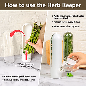 EXQUIZE Fresh Herb Keeper - Refrigerator Organizers - 3 Pack White BPA Free Round Containers - Includes Green Herb Tool - 2.5 Inches