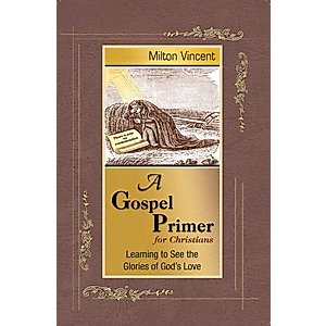 A Gospel Primer for Christians: Learning to See the Glories of God's Love