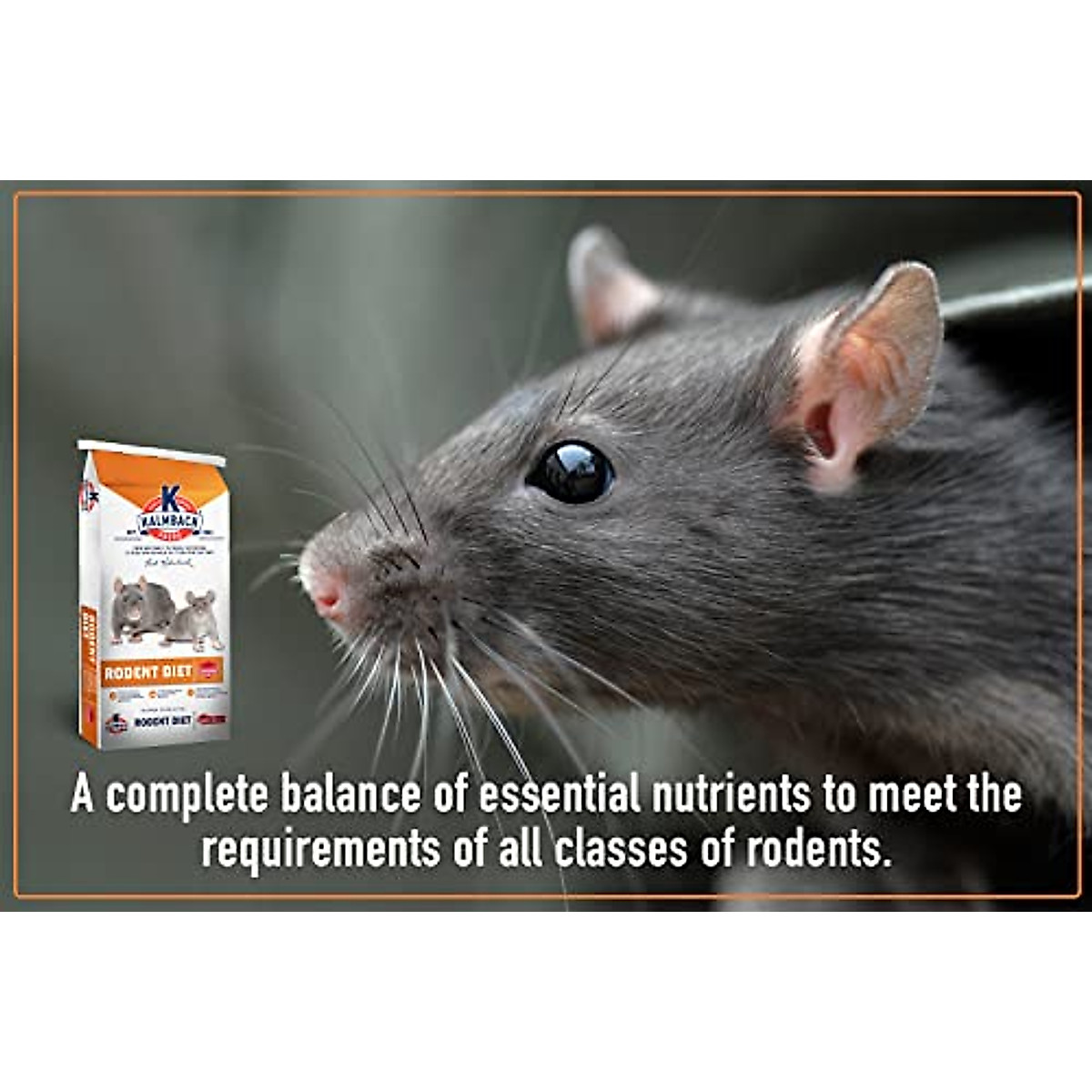 Kalmbach Feeds 18% Rodent Diet Cubed Feed for Rats and Mice in All Life Stages, 50 lb Bag