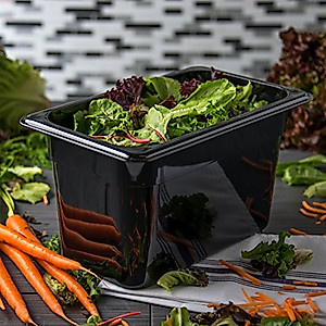 Carlisle FoodService Products 3068203 StorPlus Fourth Size Food Pan, Polycarbonate, 6" Deep, Black