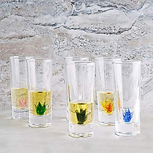 Tequila Decanter Tequila Glasses Set with Agave Decanter and 6 Agave Sipping Shot Glass, Perfect for Gifts for Tequila Lovers, 25 Ounce Bottle, 3 Ounce Tequila Party Decorations Cinco De Mayo (Agave)