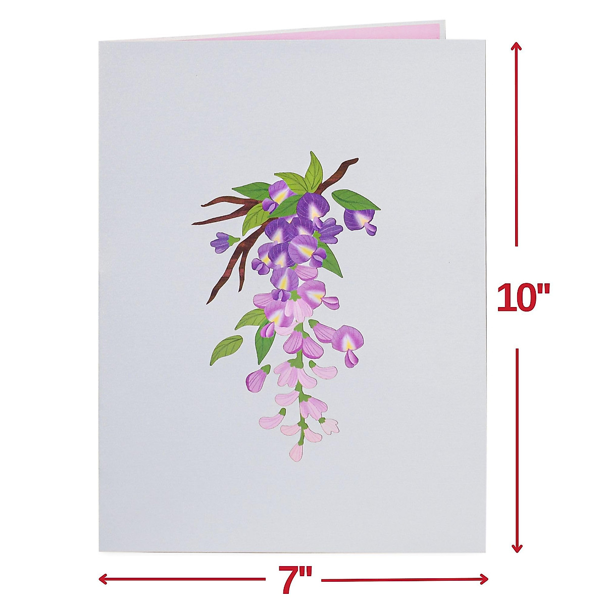 Paper Love 3D Wisteria Tree Pop Up Card, with Detachable Popup Keepsake, Gift For Birthday, Mothers Day, Get Well, Thank You, All Occasion or Just Because - Oversized 10" x 7" Cards - Includes Envelope And Note