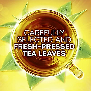 Lipton Black Tea Bag, 100 Count (Pack of 6)