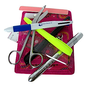 6 Piece Protective Lab Coat Pocket Organizer Kit Has Pretty Pink Paisley Pattern You're Sure to Love! Attractive Yet Durable-Made of Super Strong 600d Denier- Gift for Nurses, Students & You!