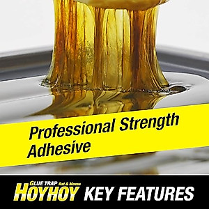 HOY HOY Rat & Mouse Regular Size Glue Trap 8 Traps [4 Pack] - Heavy-Duty Professional Strength Ready-to-Use Pest Control, Kids & Pets Friendly Indoor Home Mouse and Other Household Pests