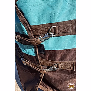 HILASON 1200D Turnout Light Winter Waterproof Rain Sheet Horse Sheet | Horse Sheet | Horse Turnout Sheet | Horse Sheets for Winter | Waterproof Turnout Sheets for Horses