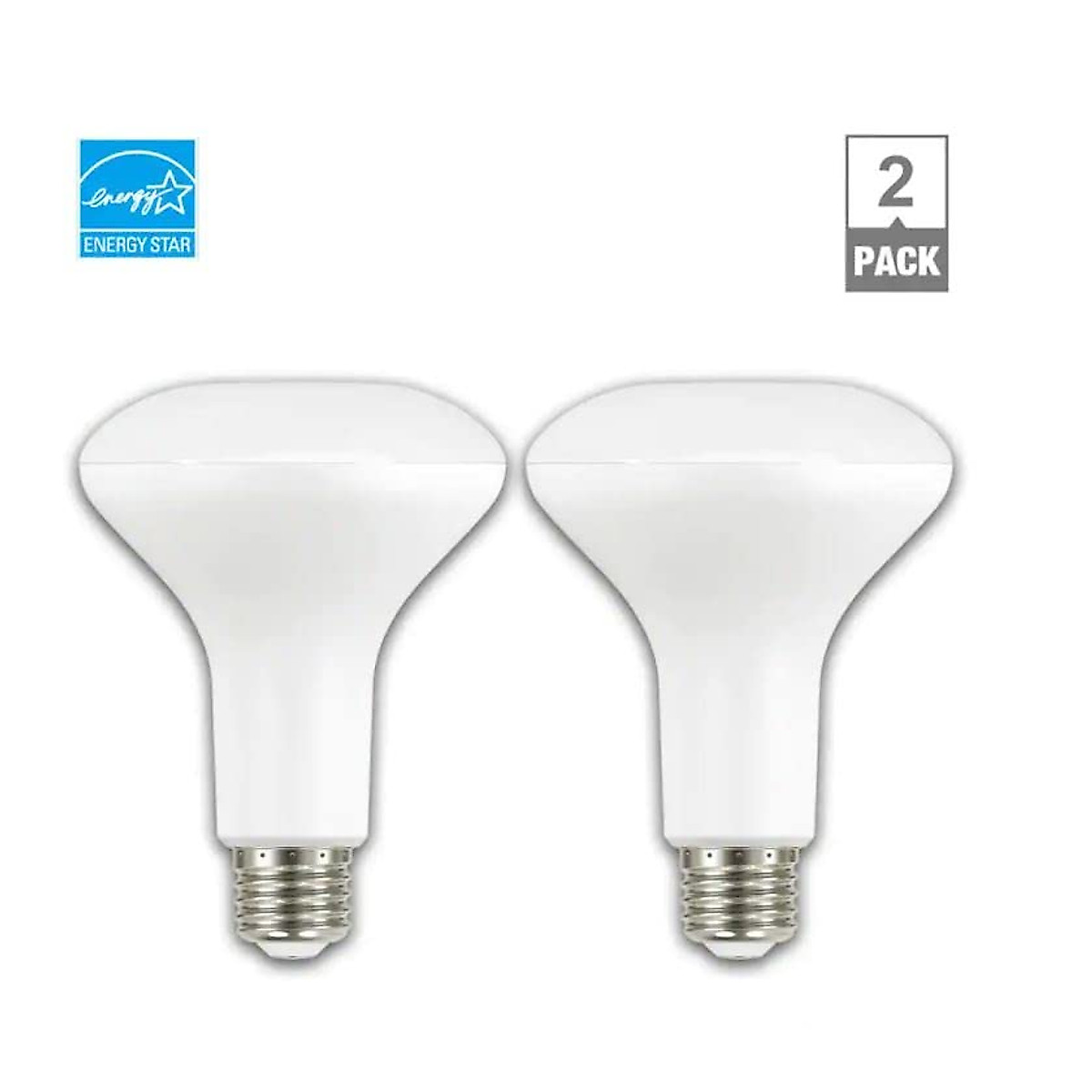 EcoSmart Bulbs EcoSmart 90-Watt Equivalent BR30 Dimmable Energy Star LED Light Bulb in Bright White (2-Pack)