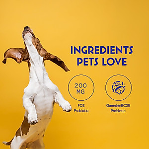 Wonder Paws Probiotics for Dogs – Daily Probiotic Supports Gut Health, Digestion, Gas, Bloating, Constipation, Stomach Relief & Immune Support - With Natural Probiotic & Prebiotic – 90 Probiotic Chews