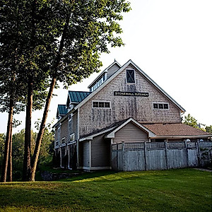 Village Candle Lemon Mint, 3-Wick Silver Lid Medium Bowl, Scented Candle, 14 oz.