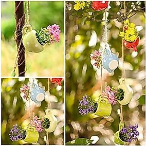 Cute Plant Fridge Magnets Funny Mini Plant Magnets for Fridge, Simulation Ceramic Flower Vase 3D Refrigerator Magnet Set 6 Pack,Decoration for Kitchen,House,Office,Whiteboard