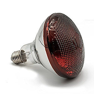 Fengrun Infrared Heat Lamp Waterproof Anti-Explosion Light Bulb for Piglet Chicken Duck Birds(150w,120v)