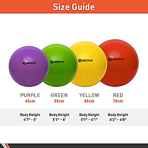 Body Sport Slow Release 65cm Exercise Ball with Pump, Gym Equipment for Home or Office, Stability Fitness Ball, Pregnancy Ball, Core Strength Training Equipment