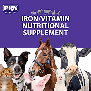 PRN Pharmacal Liqui-Tinic 4X - Iron & Vitamins Oral Nutritional Supplement for Pets- Liver-Flavored Supplement with Iron & B-Complex Vitamins to Support Wellness - 1 Gallon