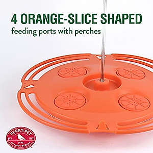 Perky-Pet Plastic 16-Ounce Oriole Feeder- 467-3