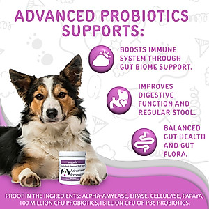 waggedy Advanced Probiotics Gut & Digestion Food Topper — Digestive Enzymes w/Papaya — Probiotic Powder — Dog Supplement Powder — Products for Dogs Over 6 Weeks (114g)