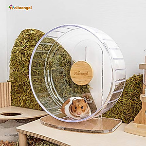 Niteangel Super-Silent Hamster Exercise Wheels - Quiet Spinner Hamster Running Wheels with Adjustable Stand for Hamsters Gerbils Mice Or Other Small Animals (M, Transparent)