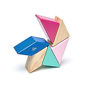 6 Piece Tegu Pocket Pouch Prism Magnetic Wooden Block Set, Blossom