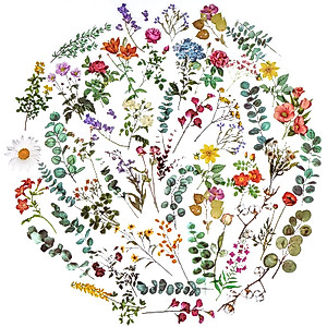 Knaid Flower Eucalyptus Plant Stickers Set (160 Pieces) - PET Transparent Waterproof Decorative Decals for Scrapbook DIY Crafts Album Bullet Journal Planner Water Bottles Phone Cases Laptops