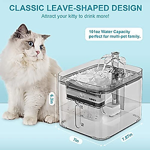 NPET Cat Water Fountain, 3L Automatic Pet Drinking Fountain Dog Water Dispenser with Quadruple-Action Filter (WF020 Transparent)