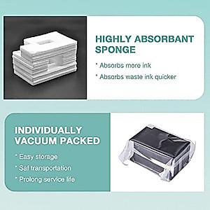 TacTink T6715 T6716 Ink Maintenance Box, Remanufactured 6715 6716 for Workforce Pro WF-4740 WF-4730 WF-3820 WF-4830 WF-4720 EC-4020 WF-4734 EC-4030 WF-C5210 WF-C5290 WF-C5710 WF-C5790 ET-8700 Printer