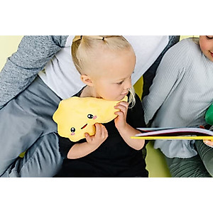 nerdbugs Pancreas Plush - Sucrose, Yet so far! Diabetes Gift/Pancreatitis Gift/Get Well Gift/Health Education Toy/Surgery Gift/Anatomy Plush Organ Gift