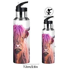 xigua Highland Cow Colorful Dyed Hair Sports Water Bottle with Straw Lid 22 oz, Leak Proof, Vacuum Insulated Stainless Steel, Double Walled, Thermo Mug, Metal Canteen