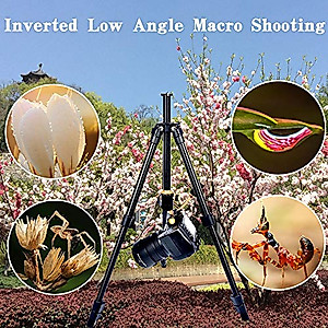 YoTilon Tripod for Camera, Portable Lightweight Travel Camera Tripod for DSLR, 360 Degree SLR Ball Tripods with 1/4 Plate for Canon Nikon Sony, Best Choice for Travel and Work.