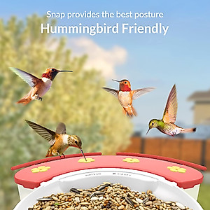 NETVUE Birdfy Hummee - Hummingbird Feeder Perch, Compatible with Birdfy, Attract Hummingbirds, 18.3 oz Capacity, 2 in 1 Bird Feeder, Ideal Gift for Hummingbird Lovers (A Feeder)